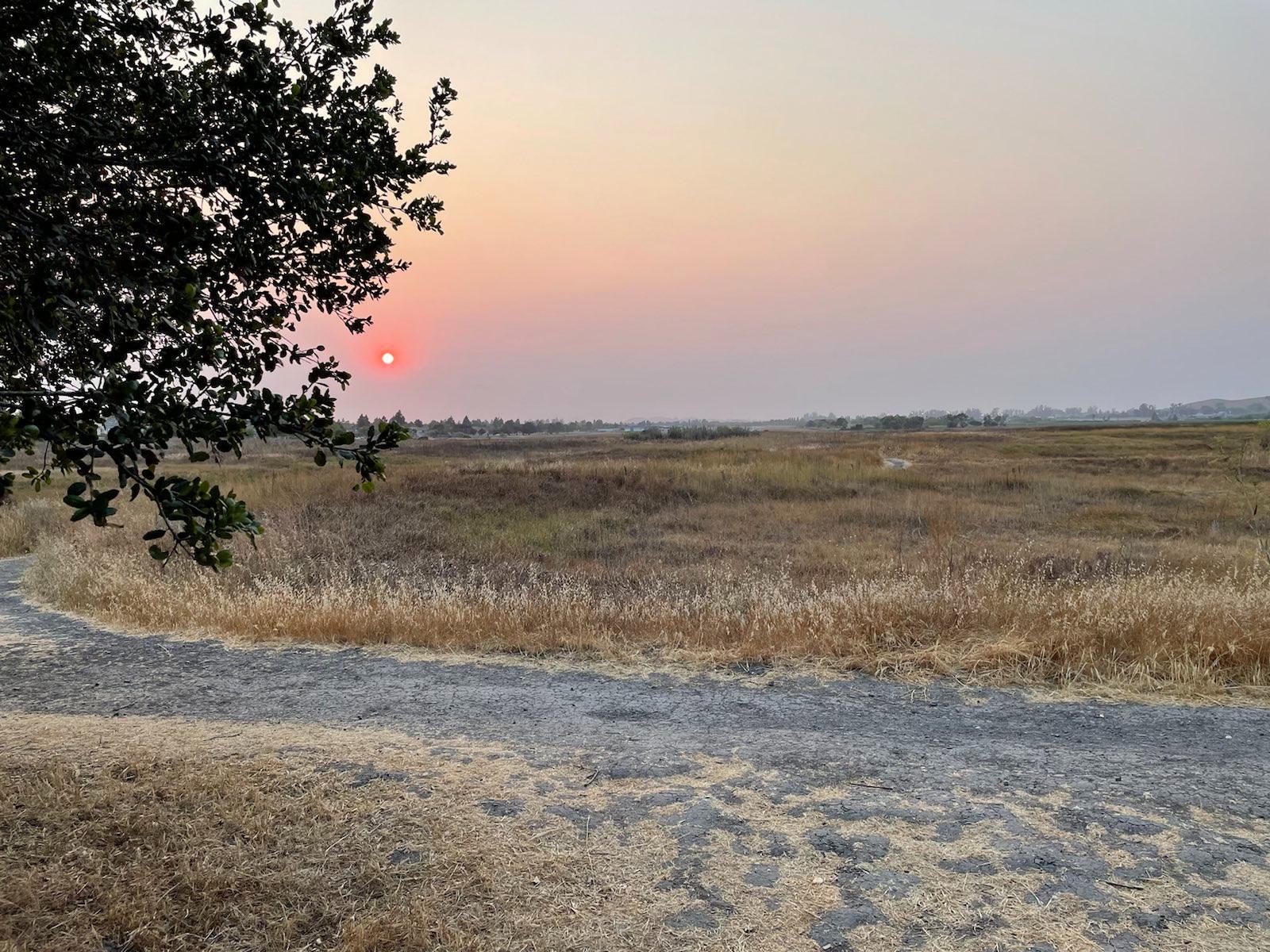 red-sunset-field – Ghost of Shakespeare